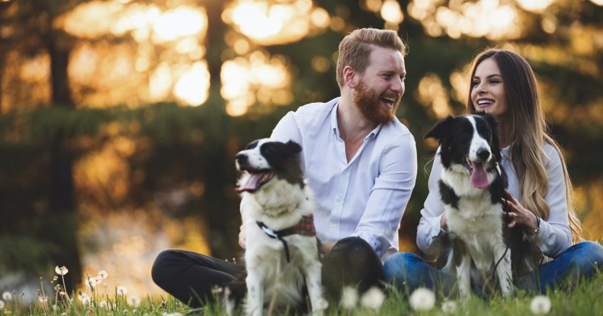 Building a Strong Attachment Bond with Your Dog | Canine Body Balance