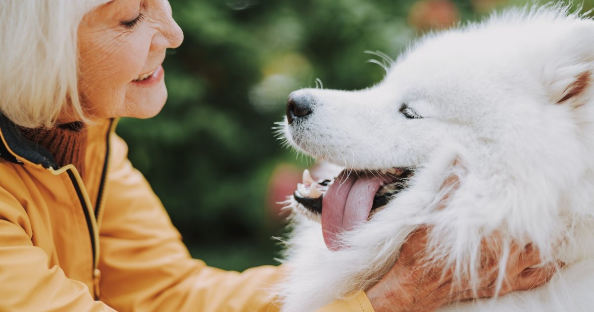 Why Use a Canine Osteopath | Canine Body Balance